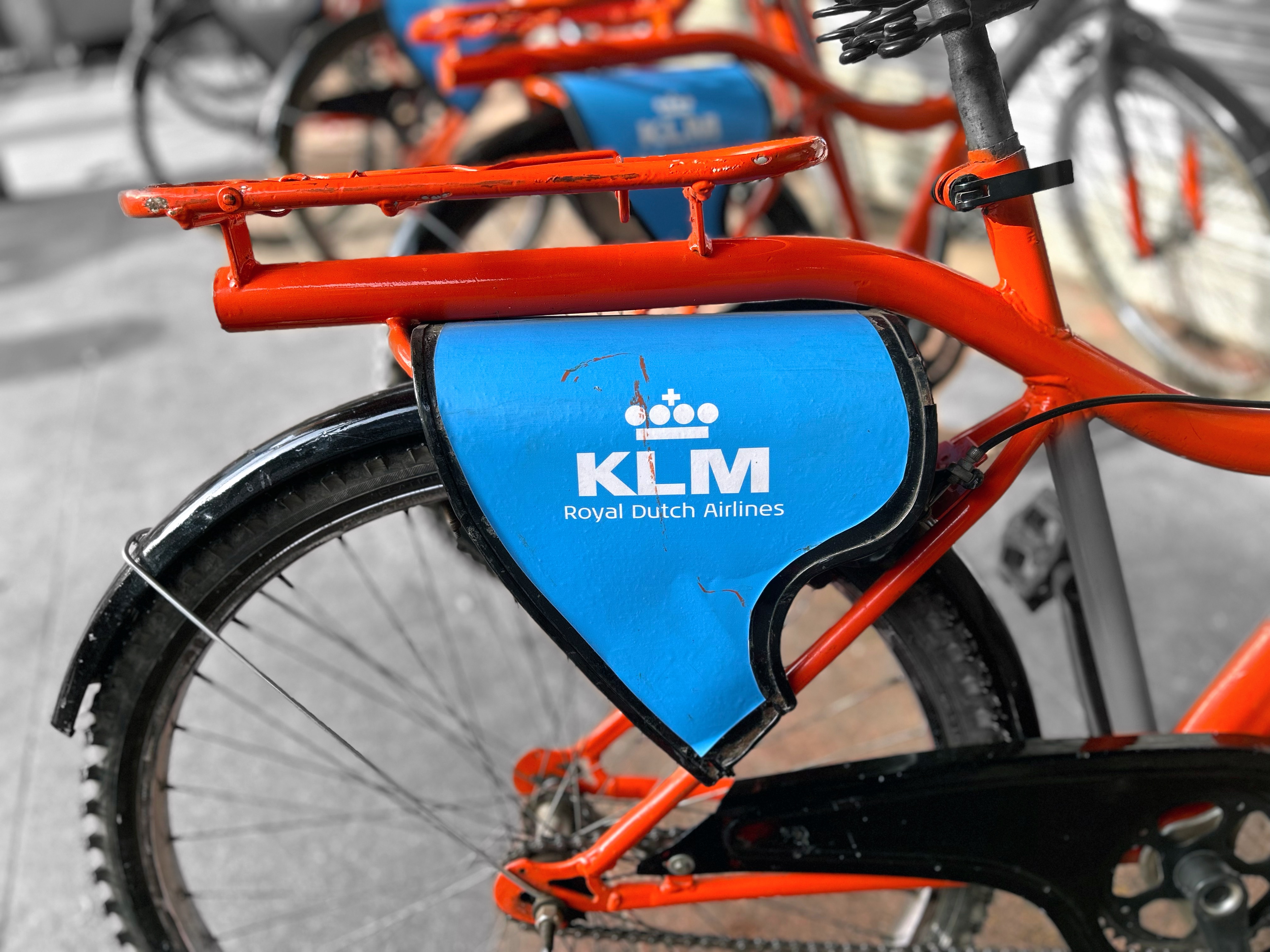 DELHI BY CYCLE: OLD CITY TOUR - Pedal and Tring Tring